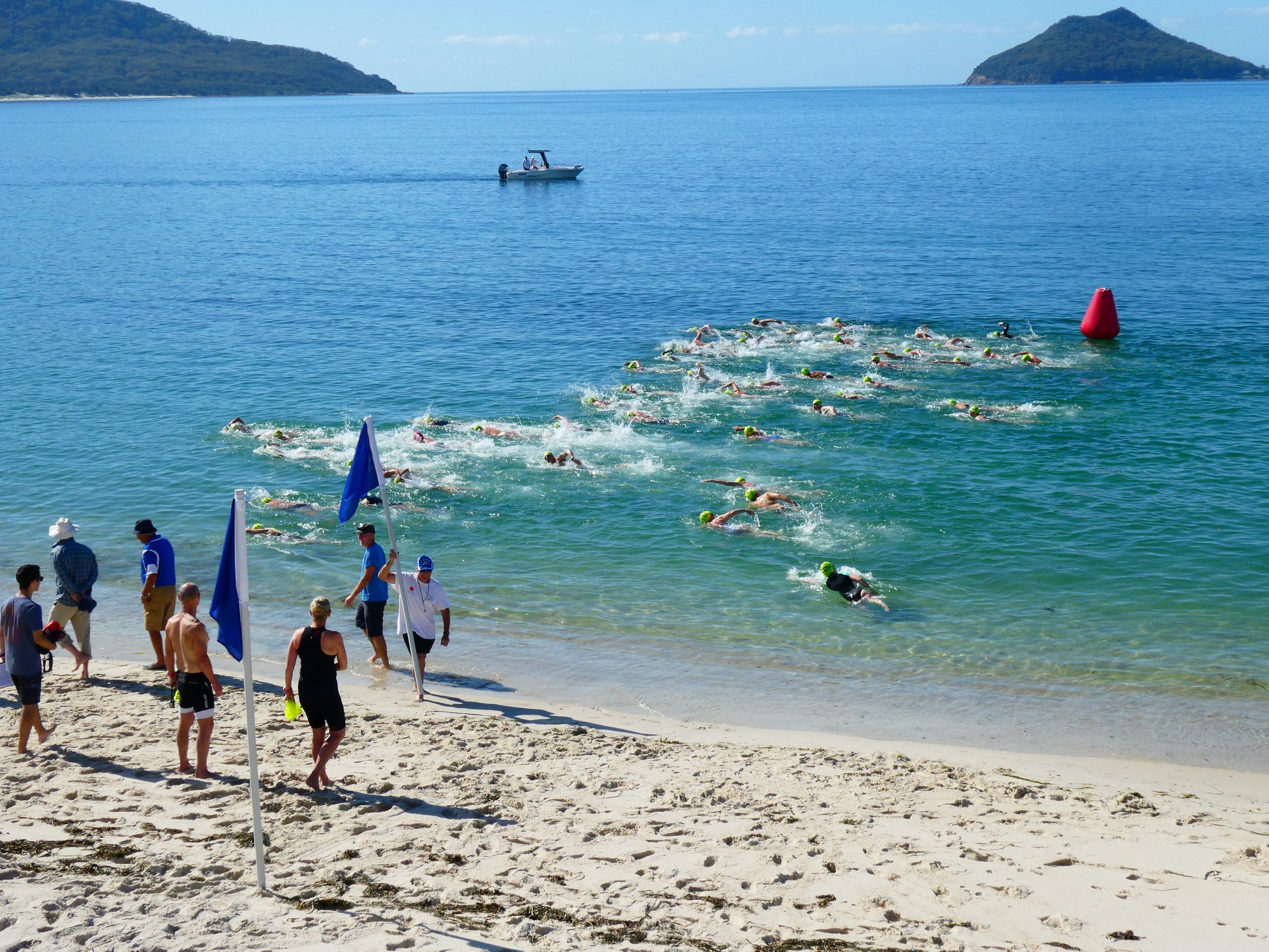 Jimmy’s Beach Brilliance as Open Water Swimmers Shine! | Masters ...